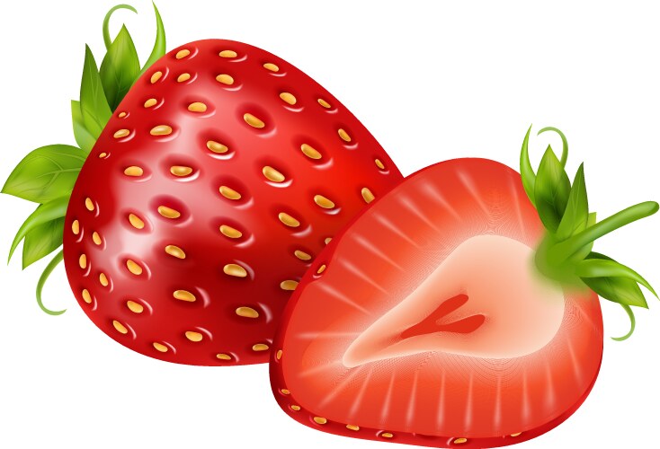 Realistic isolated strawberries Royalty Free Vector Image
