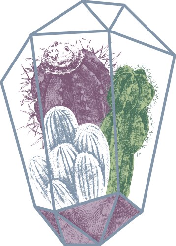 Cactus Plant Hand Drawn Succulent Royalty Free Vector Image