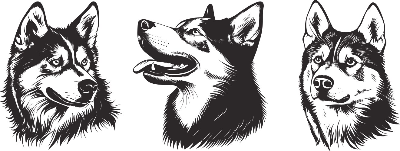 Dog Side View Vector Images (over 2,200)