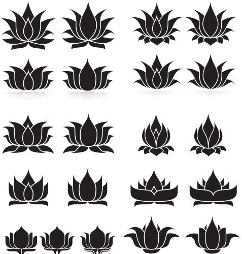 Lotus Vector Images (over 100,000)