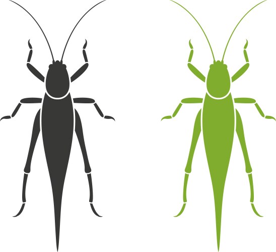 Grasshopper realistic isolated Royalty Free Vector Image