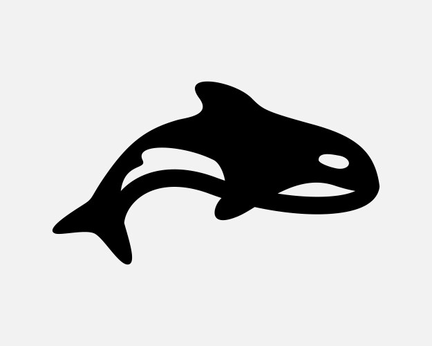 Orca outline Vector Images & Graphics for Commercial Use | VectorStock