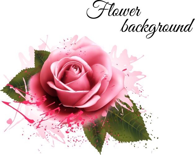 A spring decorative bouquet of roses flowers Vector Image