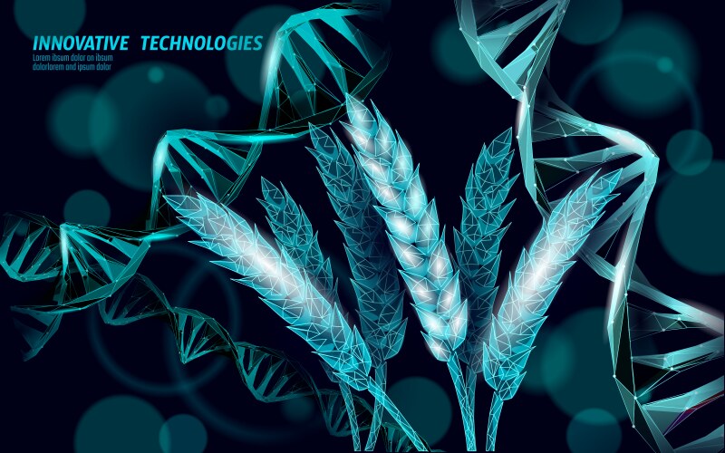 Modified Vector Images (over 21,000)