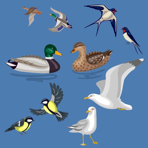 Birds Vector Images (over 550,000)