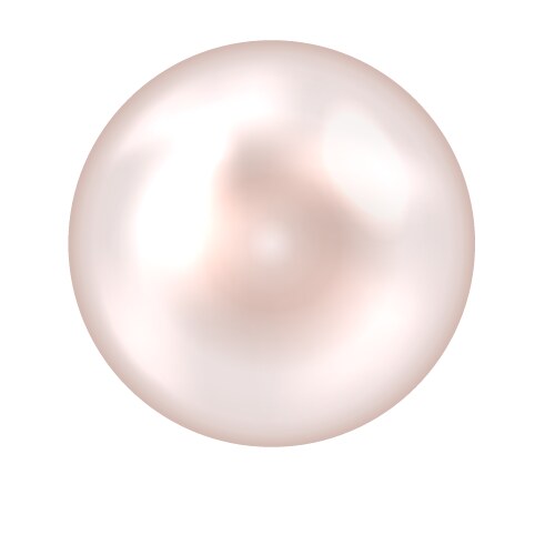 Pearl Pearls Vector Images (over 38,000)