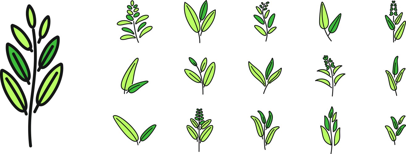 Sage Vector Images (over 5,200)