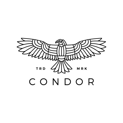 Andean condor bird on a white background Vector Image