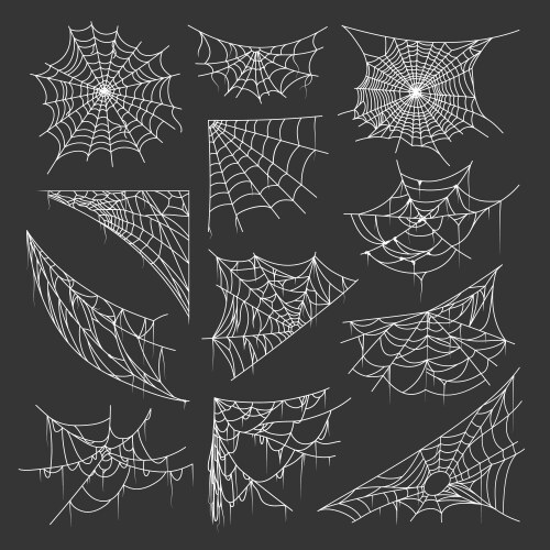 Spider Web Vector Images (over 38,000)