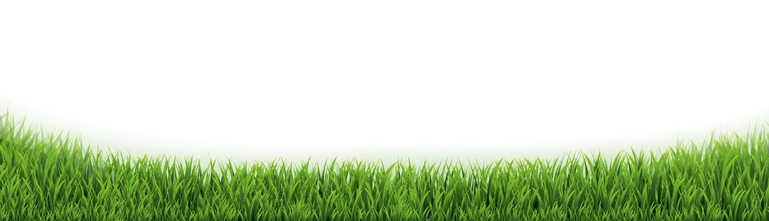 Summer poster with grass border Royalty Free Vector Image