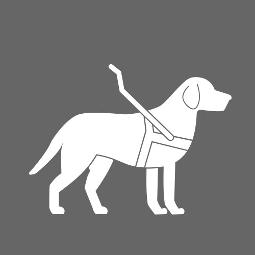 Labrador retriever dog cartoon colored clipart Vector Image