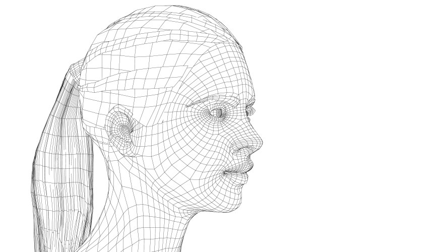 Wireframe portrait a young beautiful girl Vector Image