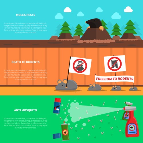 Pest control poster or flyer with funny cockroach Vector Image