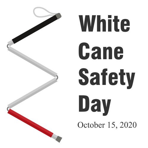 International white cane day concept banner Vector Image
