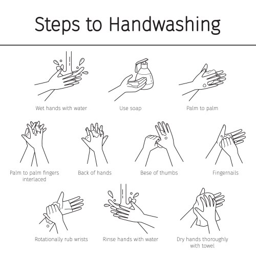 Hand washing instructions black and white Vector Image