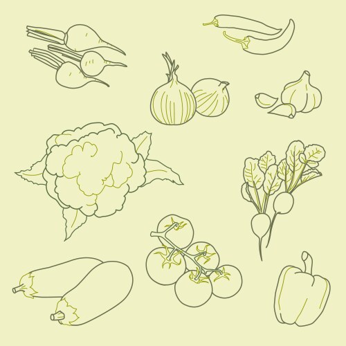 Continuous line set vegetables design elements Vector Image