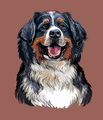 Bernese Vector Images (over 590)