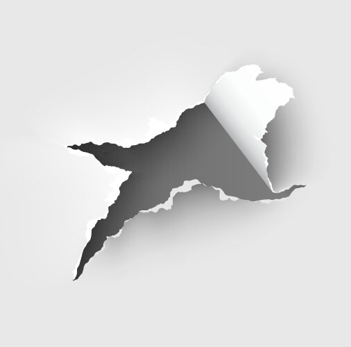 Hole torn in ripped paper on white Royalty Free Vector Image