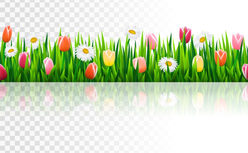 Spring garden grass and flowers border cartoon Vector Image