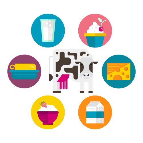 Milk dairy products infographic layout poster Vector Image