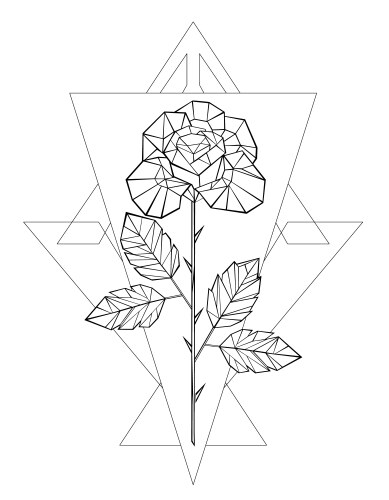 Infinity symbol with outline rose Royalty Free Vector Image