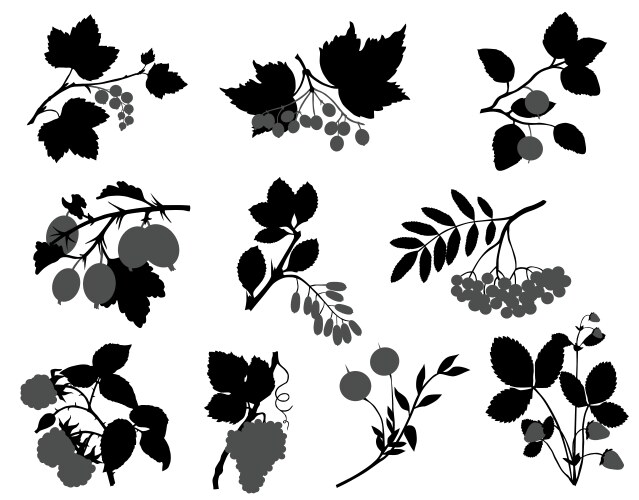 Berry Vector Images (over 240,000)