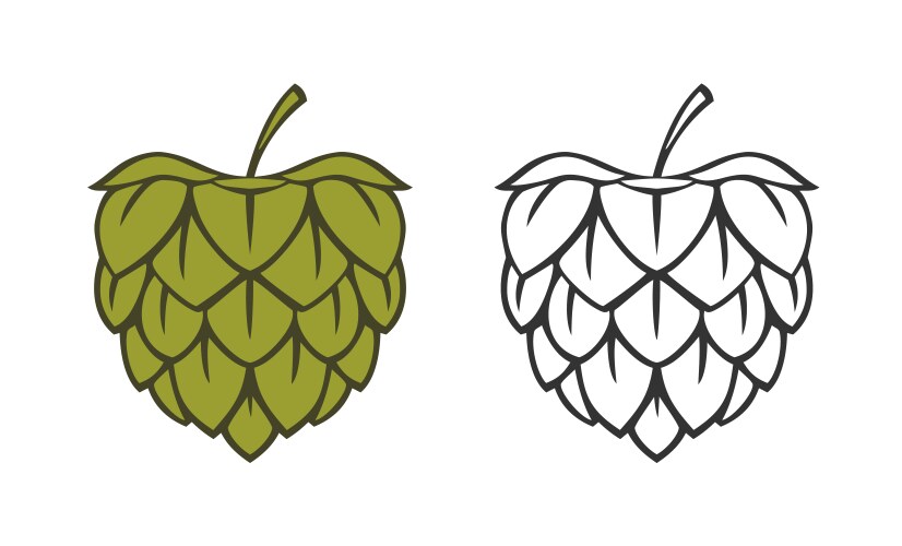 Hop Flower Vector Images (over 2,000)