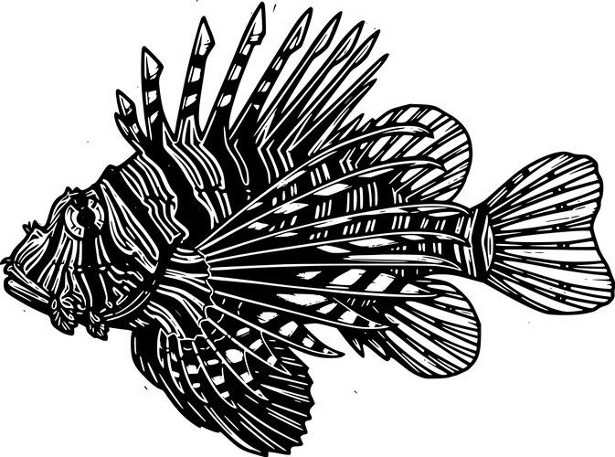 Lionfish Line Art - Detailed Marine Creature – Royalty-Free Vector ...