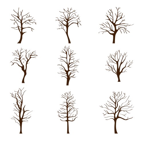 Tree Branches Without Leaves Pattern Vector Images (over 130)