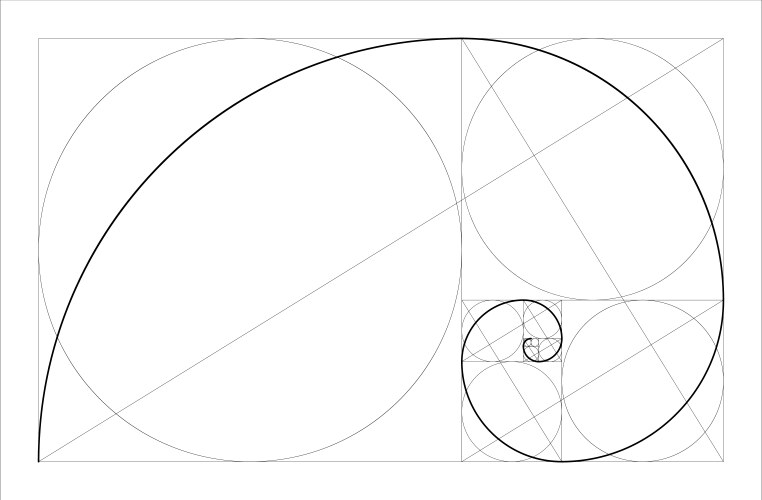 Fibonacci heart Royalty Free Vector Image - VectorStock