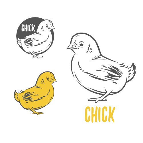 Chick Vector Images (over 39,000)