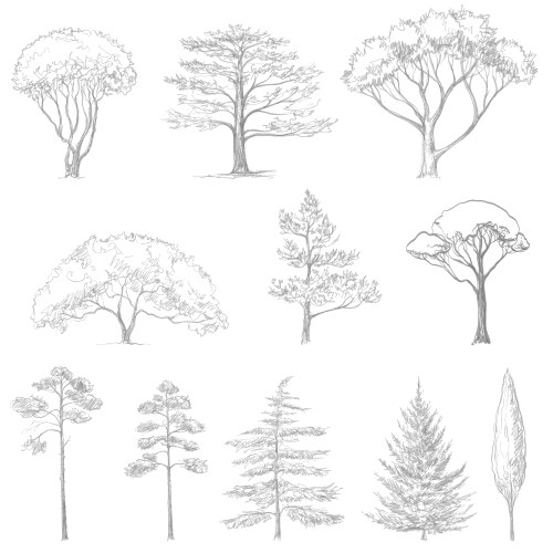 Trees Sketch Vector Images (over 100,000)