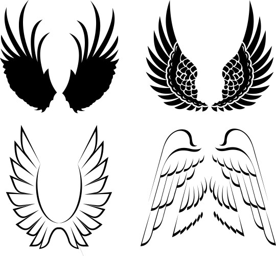 Feather wings freedom symbols fly elements Vector Image