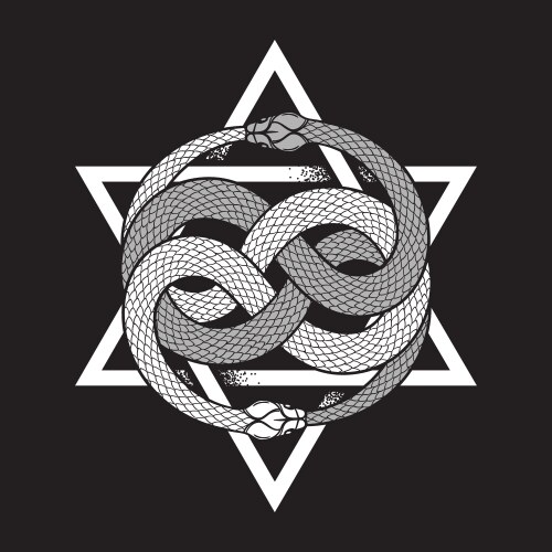 Double ouroboros or uroboros serpent snakes Vector Image