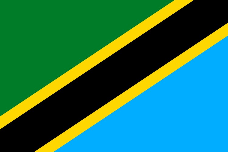 Greyscale flag of tanzania Royalty Free Vector Image
