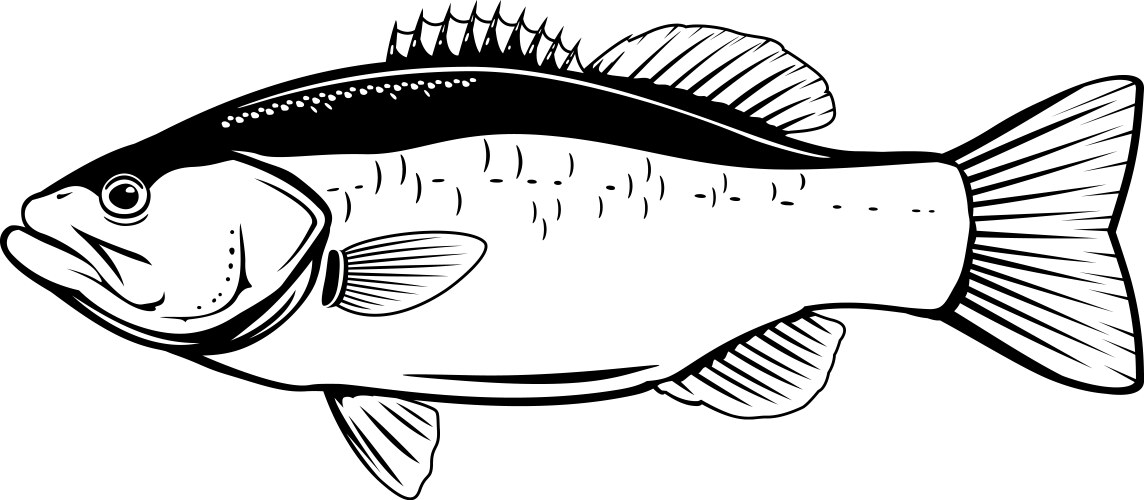 Bass Vector Images (over 85,000)