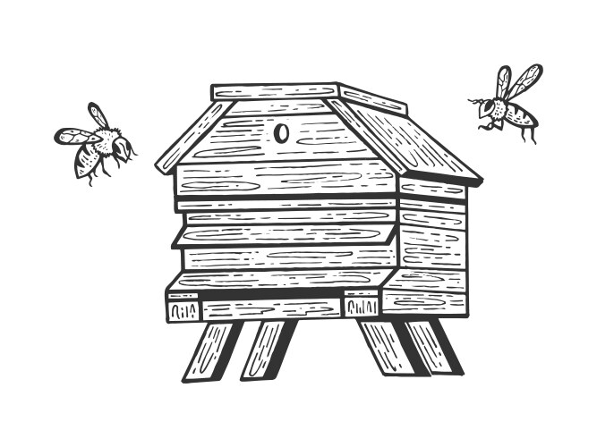 Bee Line Drawing Vector Images (over 6,000)