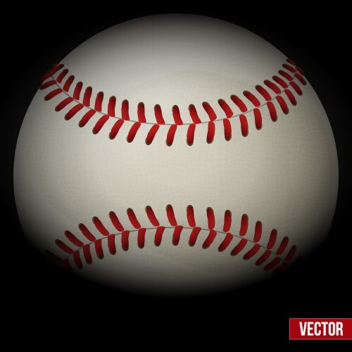 Baseball leather ball Royalty Free Vector Image