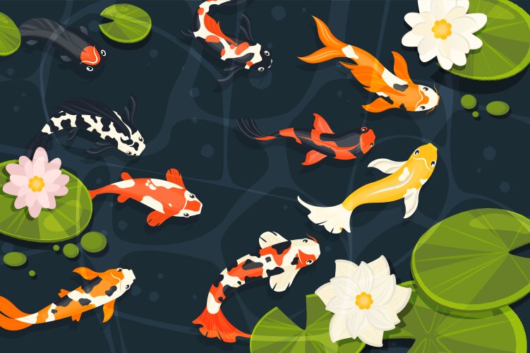 Lotus Pond Vector Images (over 2,500)