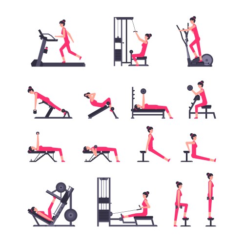 Gym gymnasium body building exercise training Vector Image