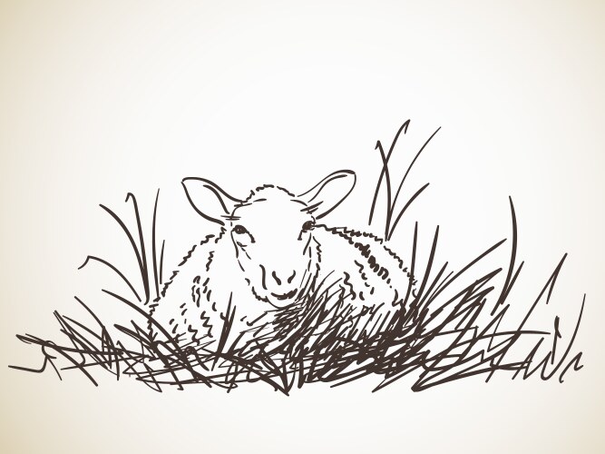 Sheep Outline Vector Images (over 8,100)