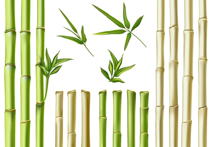 Bamboo Cartoon Vector Images (over 14,000)
