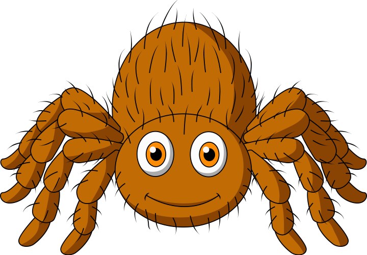 Cute spider cartoon Royalty Free Vector Image - VectorStock
