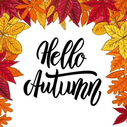 Autumn leaf banner border for fall season design Vector Image