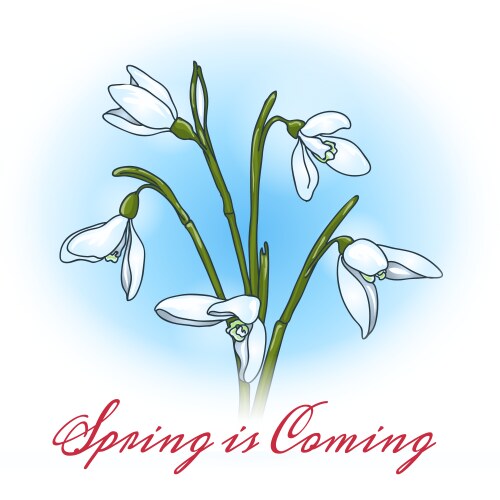 Early spring flowers theme set 1 Royalty Free Vector Image