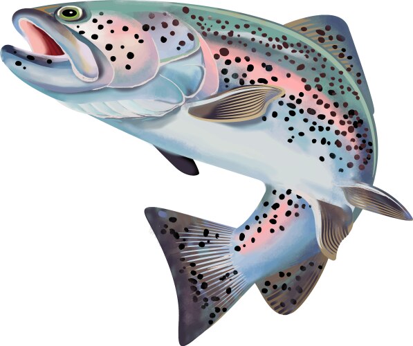 Trout Vector Images (over 13,000)