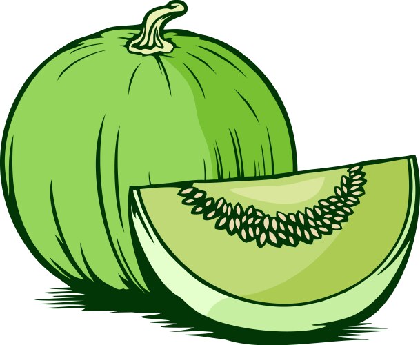 Melon Drawing Vector Images (over 4,600)