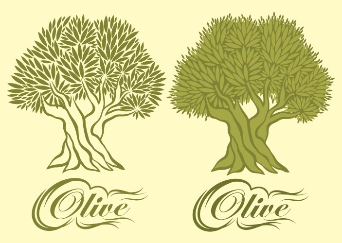 Olive Tree Vector Images (over 230,000)
