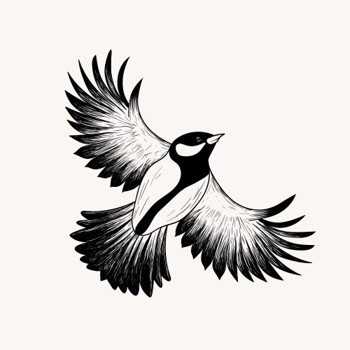Bird Flying Outline Drawing Vector Images (over 20,000)