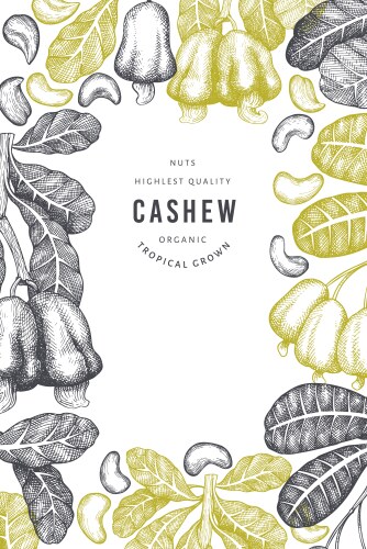 Logo for cashew nuts Royalty Free Vector Image